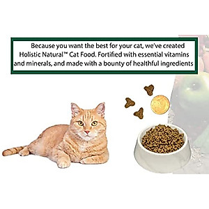 Bench & Field Holistic Natural Premium Adult Dry Cat Food, Chicken Meal and Brown Rice Recipe 3 lb Bags (Pack of 3)