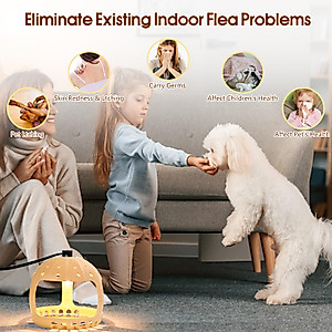 Flea Traps for Inside Your Home, 2 Pack Flea Trap Light with 10 Sticky Pads Refills & 6 Bulbs, Electric Flea Light Killer Bed Bug Trap, Natural Indoor Pest Control for Home, Safe to Pet & Child