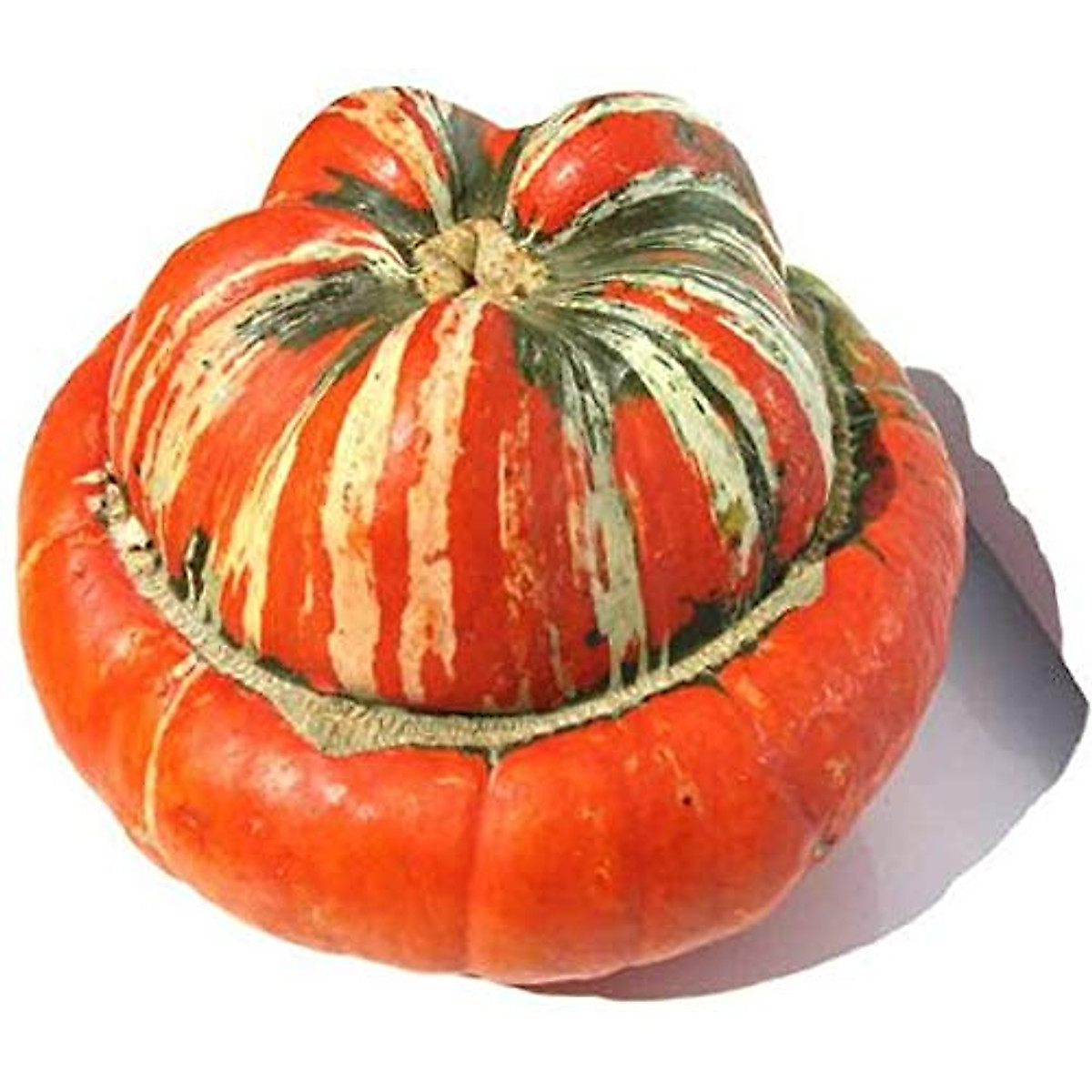 Turks Turban Gourd Squash Seeds for Planting, 25+ Heirloom Seeds Per Packet, (Isla's Garden Seeds), Non GMO Seeds, Botanical Name: Cucurbita Maxima 'Turban', Great Decoration or Gift