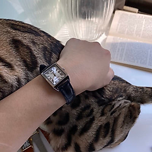 Casio LTP-V007L-7B1 Women's Rectangular Leather Strap Silver Roman Dial Dress Watch