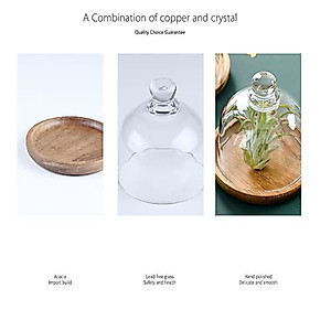 Glass Dome with Wooden Base Mini Cheese Plant Platter Dessert Plate Cake Plate for Cheese Candy Decorative and Succulents Display Clear Glass Jar 4.13"x3.74"x3.15"