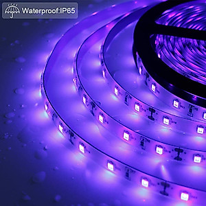 Vbakor 12V 16.4FT Marine Boat Ultra Violet UV Black Light LED Lights Strip, Night Fishing Lights, 5050 LED Waterproof UV Led Strip with Extension Cable for Fishing Boat Pontoon Yacht