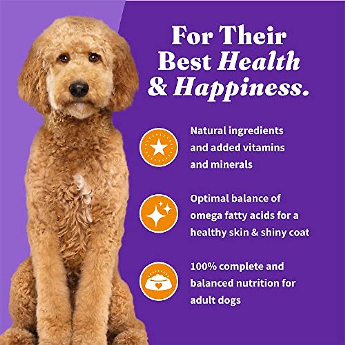 Halo Holistic Adult Dog Healthy Grains Cage-Free Chicken & Brown Rice Recipe Kibble 3.5 lb