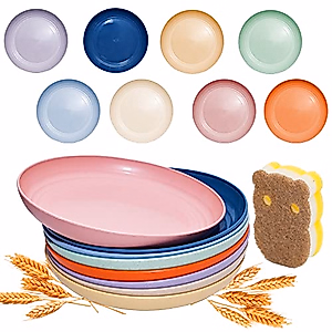 DAPIPIK 8 Pieces 10 Inch Wheat Straw Plates, Unbreakable Dinner Plates, Lightweight Straw Plates, Dishwasher & Microwave Safe, Perfect for Dinner Dishes, Healthy for Kids & Adult