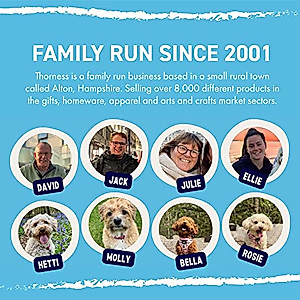 Three-Way Folding Coat Hook | Polished Brass Finish | | Wall Mounted for Bathroom Kitchen Bedroom | Captains Hook | independently swivelling arms | Versatile and Elegant