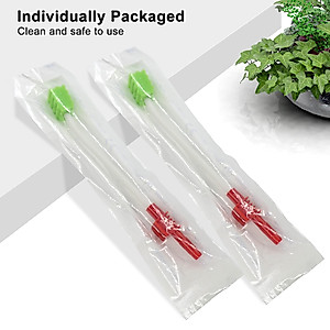 Wellgler's Oral Care Single Use Suction Swab (25pcs)