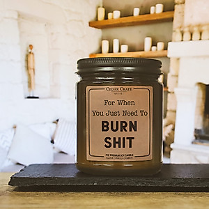 for When You Just Need to Burn S - Funny Candle, Funny Sarcastic Novelty Gift for Friends, Coworkers, Boss, Employee, Adults -Birthday Gift for Mom, Sister, BFF, Gag Gifts for Women, Long Distance