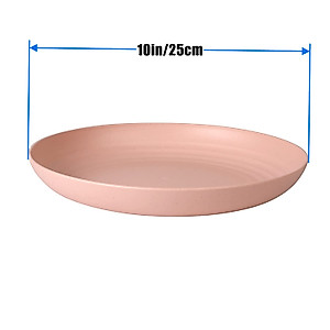 CAMBUY Wheat Straw Plates Lightweight Unbreakable Dinner Dishes Plates Set Dishwasher & Microwave Safe (Extra Large 4 Pack 10')