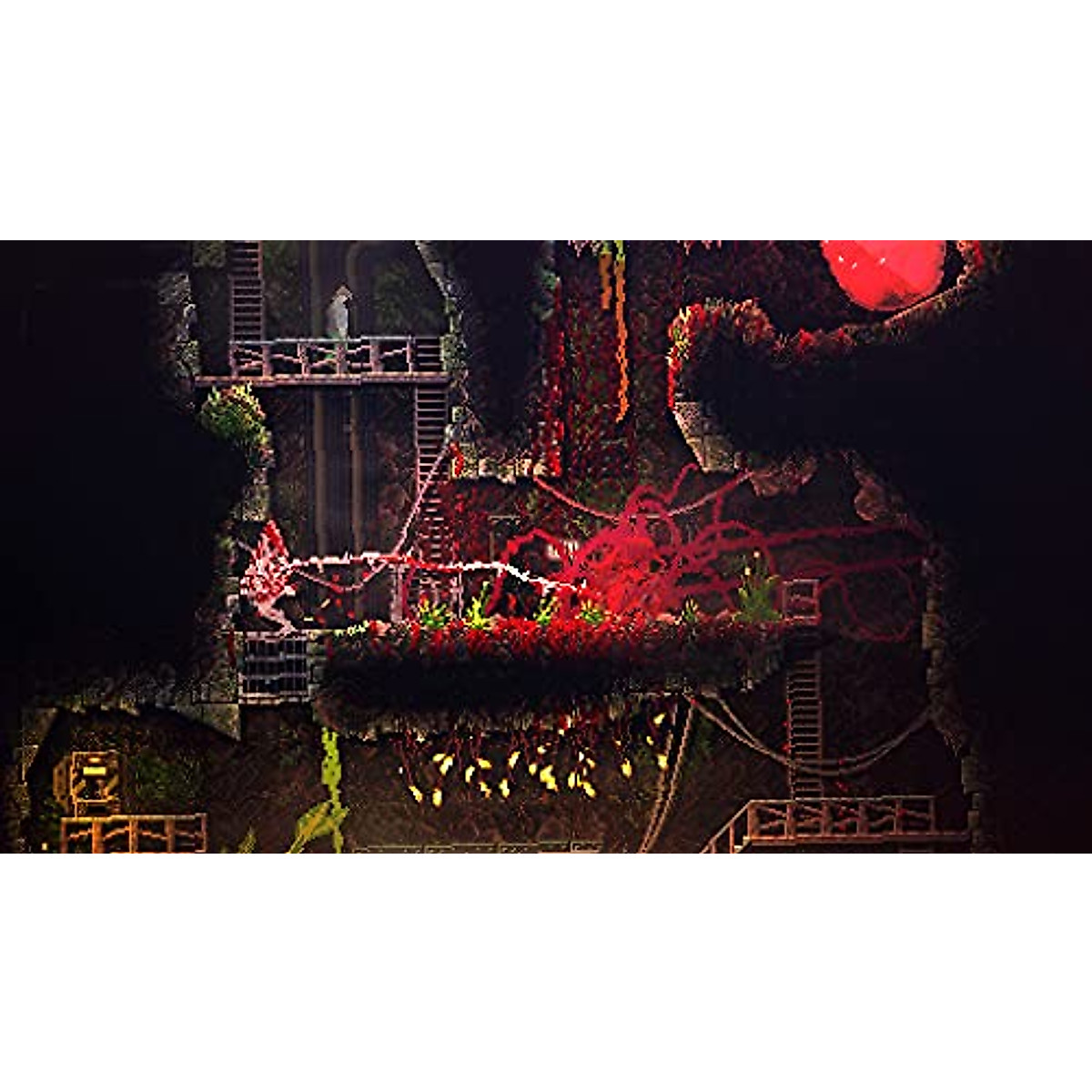 Carrion (Nintendo Switch)