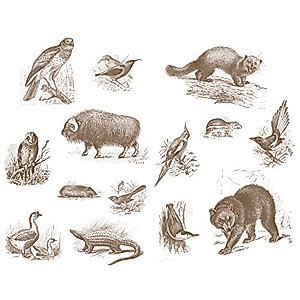 Wild Animals I Have Known