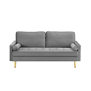 JDMYC Furniture 67" Velvet Loveseat Sofa with Golden Metal Legs, Modern Couch for Living Room, Bedroom, Small Spaces, and Guest Room (Grey)