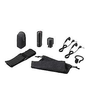Sony ECMW1M Wireless Microphone (Black)