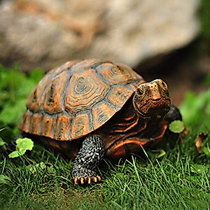 Danmu 1Pc of Polyresin Tortoise Statue, Garden Statues, Outdoor Statues, Garden Ornaments, Yard Statue for Home and Fairy Garden Decor (L 12 9/10" x 9 2/5" x 5 1/2")