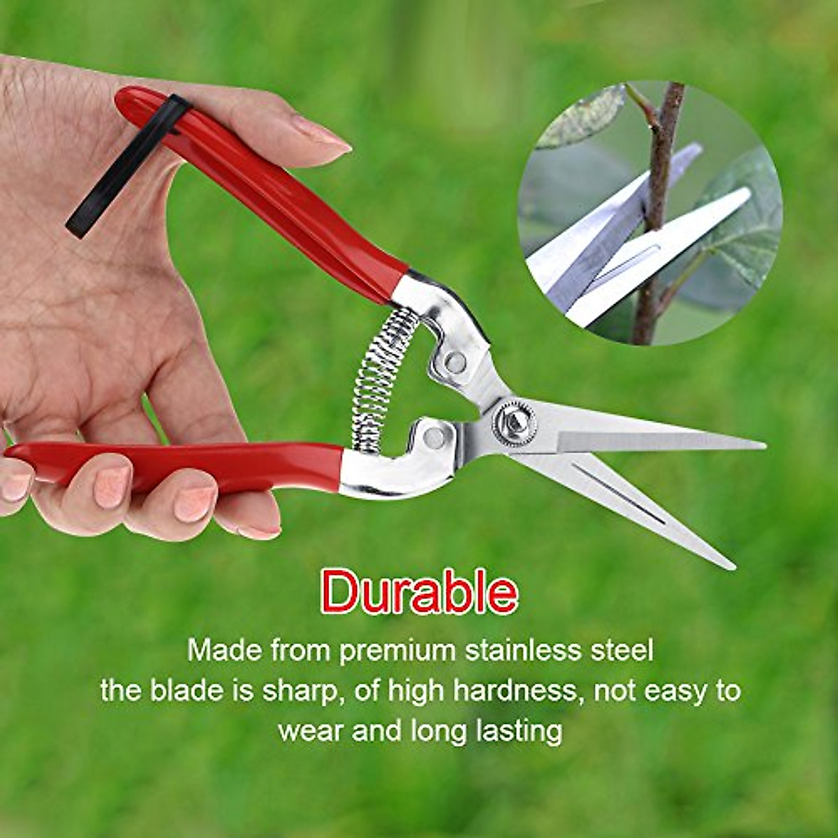 Sturdy Fruit Tree Bonsai Gardening Trimming Pruning Shears Garden Scissors Pruner Tool for Hand Pruners Trimmer Garden Clippers Flower Cutter (Straight Blade)