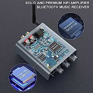 Lavaudio DS300 Bluetooth 5.1 Amplifier Receiver Home Stereo System Components - Mini Hi-Fi Class D Integrated Amp 2 Channel 100W×2 for Home Theater Audio