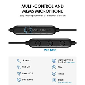 PALOVUE USB Type C Headphones in Ear Earphones Earbuds with Mic and Volume Control Compatible for Google Pixel Samsung Oneplus Huawei Sony MacBook SoundFlow