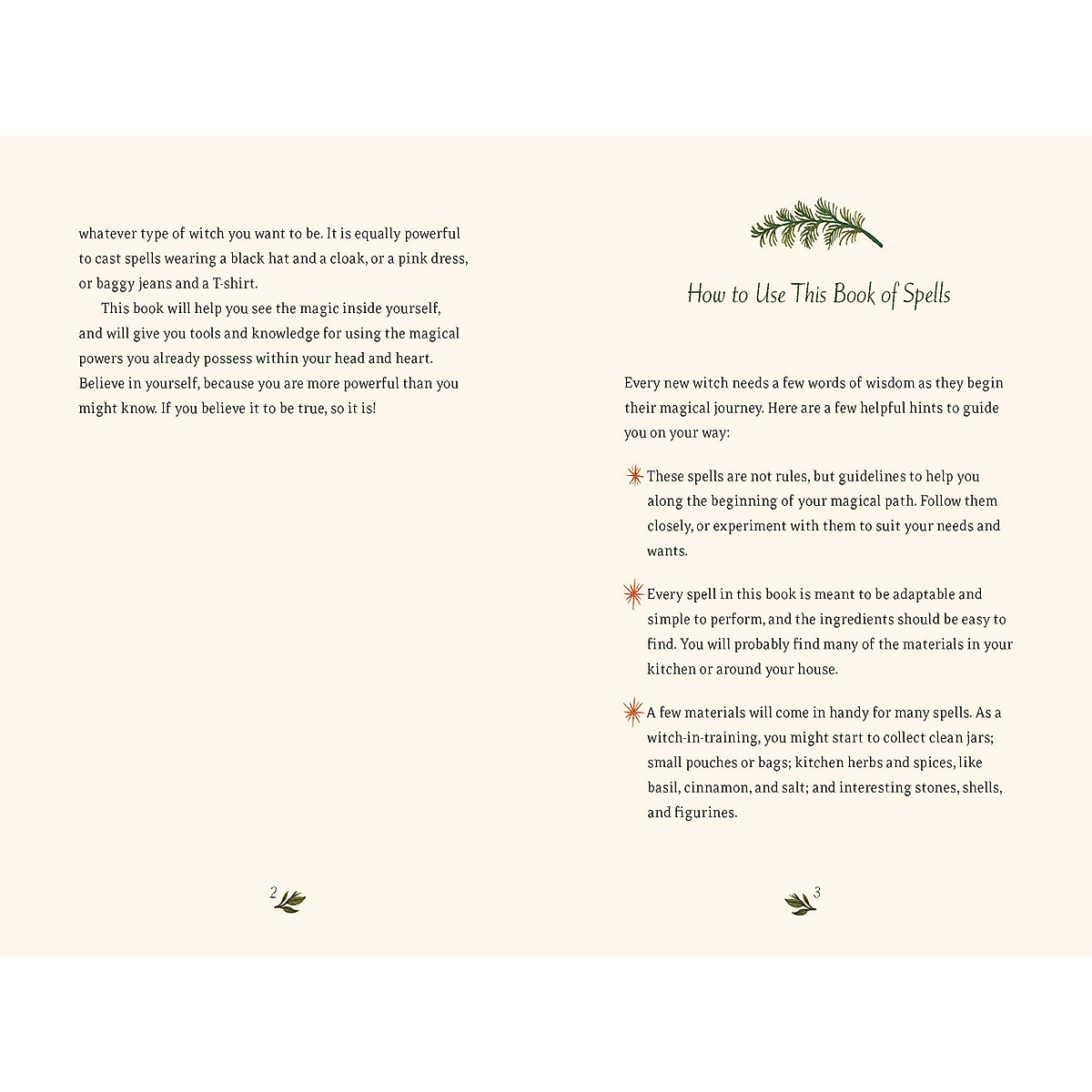 The Little Witch's Book of Spells