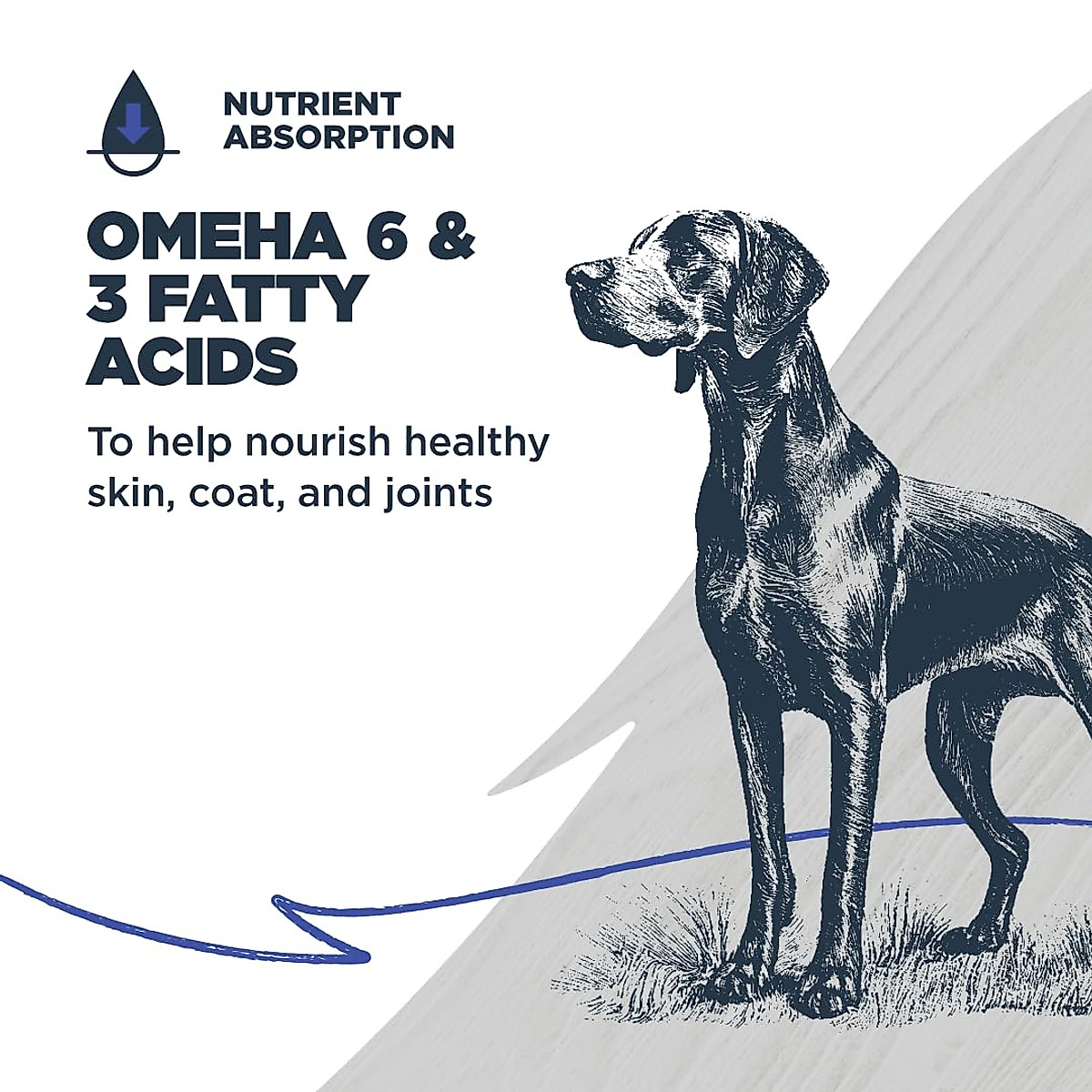 Blackwood Grain Free Dry Dog Food, Chicken & Field Pea Recipe, 10 Pound Bag for All Life Stages, Slow Cooked with Vitamins & Minerals for a Balanced Diet