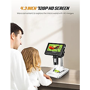 4.3 Inch Coin Microscope,ANNLOV 50X-1000X Magnification LCD Digital Microscope with 8 Adjustable LED Lights for Kids and Adults for Coin/Stamps/Plants/Soldering