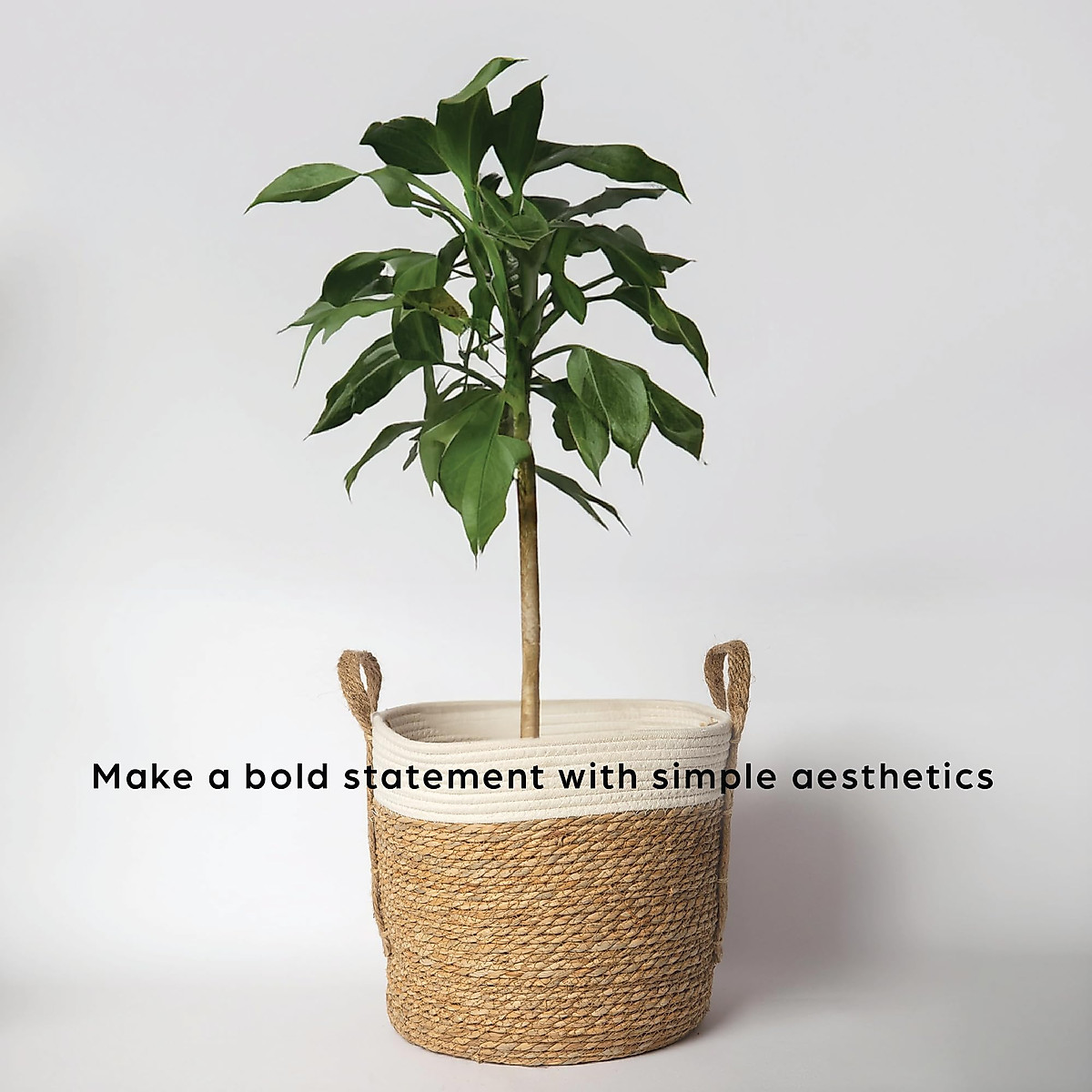 Porto Boutique Seagrass Basket w/Handles - Classic Coastal Charm, Exquisite Versatile & Stylish Natural Storage & Subtle Woven Décor Solution in Timeless Elegant Cream Hue - Home Essential (Large)