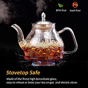 Glass Teapot, 40oz/1200mL Glass Kettle with Removable Stainless Steel Infuser for Blooming Tea & Loose Leaf Tea, Gooseneck Tea Pot, Microwave & Stovetop Safe, Gift Box for Tea Maker