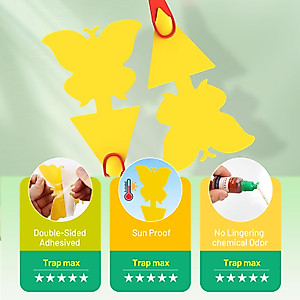 Fruit Fly Traps for Indoors and Outdoors:UWANTME Fruit Fly Killer with 12 Fruit Fly Sticky Traps, Easy to Use and Safe Food-Based Gnat Trap Reusable,2 Pack