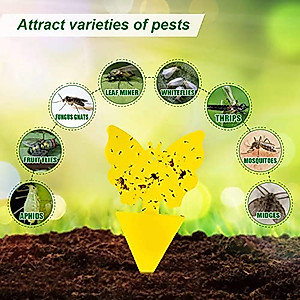 48 Pcs 4 Shapes Yellow Sticky Traps for Fruit Fly, Whitefly, Fungus Gnat, Mosquito and Fly, Sticky Insect Catcher Traps for Indoor/Houseplants/Kitchen, Extremely Sticky, Non-Toxic, Pet & Kid Safe