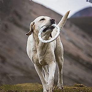 QBIYA Dog Toy Fly Ring, Dog Chew Toys, Dog Ring Toy, Tug of War Dog Toy, Dog Training Ring Fitness Tool, Fun Dog Toys, Interactive Travel Pet Toys, for Small/Medium Dog Training Ring