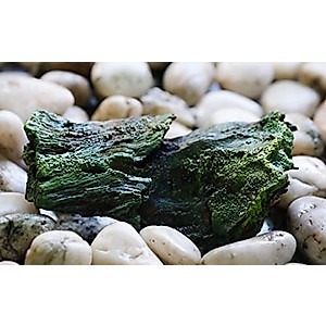 1shopforyou Random Selection Reptile Amphibian Habitat Decorative Garden Stakes 5X10 CM