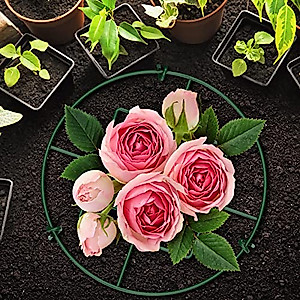 BLIKA 12 x 20 Inch Grow Through Plant Support, Peony Cages and Supports Grow Through Plant Supports Ring Hoop, Plant Brace Flower Support Rings, Pack of 8