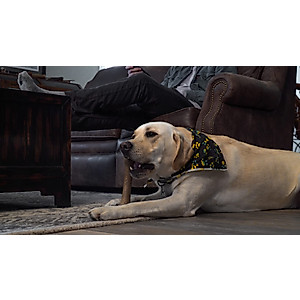 HERO | Bonetics | Dog Bones | Puppy Bones | Designed for Large Dogs Up to 65 lbs (Beef Flavor)