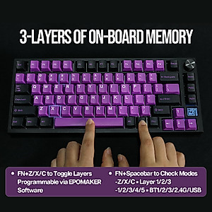 EPOMAKER TH80 SE Gasket 75% Mechanical Keyboard, NKRO Hot Swappable RGB 2.4Ghz/ Bluetooth 5.0/ Wired Gaming Keyboard with Poron/EVA Foam, 4000mah Battery (Black Purple, Budgerigar Switch)
