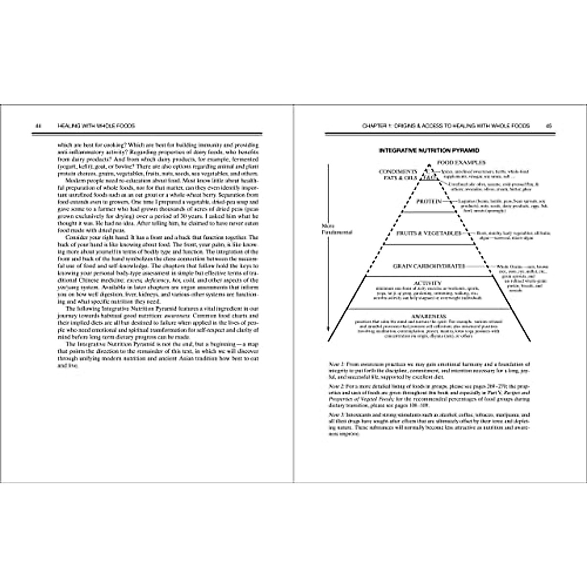 Healing with Whole Foods, Third Edition