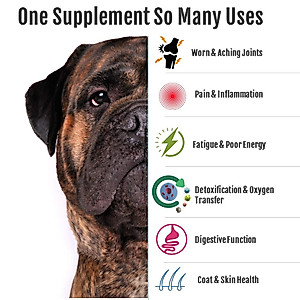 Pure MSM Joint Supplement for Dogs, Cats, & Horses – 100% Additive-Free – High Performance, Supports Senior Pets Wellness, Healthy Joints, Mobility, Aches, & Fatigue – HAPPY BODY - 7oz