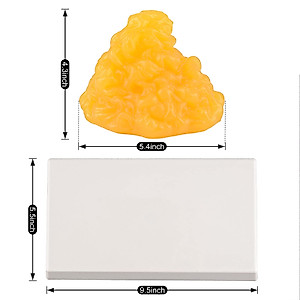 Human Body Fat Replica 1 lb with Display Base, Keep Fit & Weight Loss Motivation & Reminder, Human Fatty Tissue Demonstration Model for Nutritionist