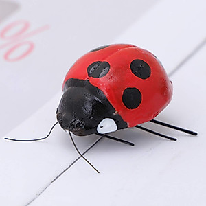 NUOBESTY Ladybug Refrigerator Magnets Decorative Fridge Magnets for Office Kitchen 5 Pcs