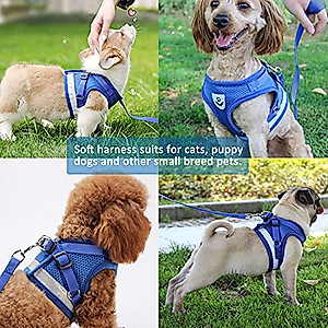 LABOTA Cat Harness and Leash Set for Walking, Escape Proof Soft Adjustable Vest Harnesses with Reflective Strap, Comfort Fit for Pet Kitten Puppy Rabbit, Blue, S(Chest: 11"-13")
