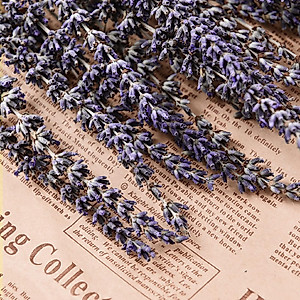 June Fox Dried Lavender Flowers 270-300 Stems 100% Natural Dried Lavender Bunches for Home Decoration, Home Fragrance, Handmade Soap Flower