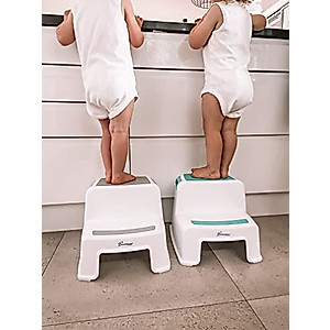 Dreambaby 2-Up Step Stool, Grey/White