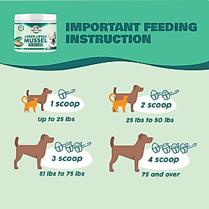 Benji & Louie Green Lipped Mussels Powder for Dogs and Cats 3.17 oz (90g) - 300 Servings - Sourced from USA - Rich in Omega-3 Fatty Acids for Joint, Skin & Coat Health, Made in USA