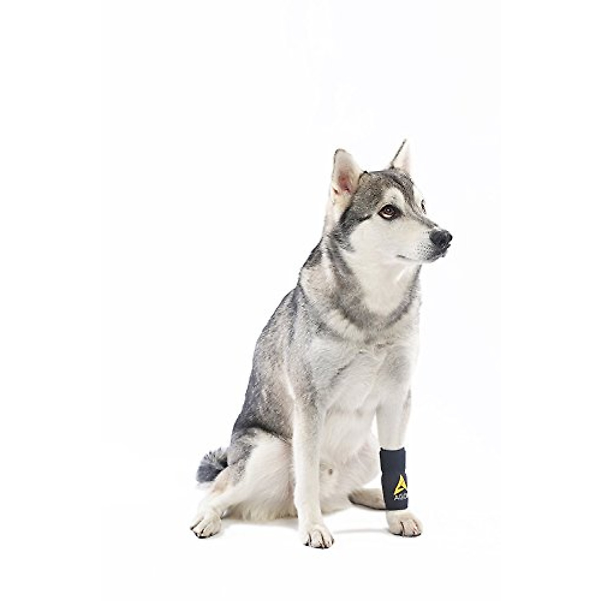 AGON® Dog Canine Front Leg Brace Paw Compression Wraps with Protects Wounds Brace Heals and Prevents Injuries and Sprains Helps with Loss of Stability Caused by Arthritis (Small/Medium)