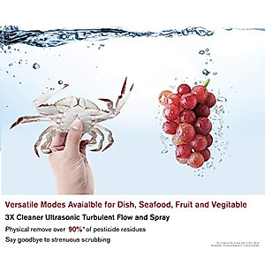 FOTILE SD2F Stainless Steel Kitchen In-Sink Dishwasher Combination, Heavy Gauge Bowl Dish Sanitizing, Enegry-saving Countertop Dishwasher… (SD2F-P1X)