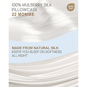THXSILK 100% Silk Pillowcase for Hair and Skin, Both Sides Grade 6A+ 22 Momme Mulberry Silk Pillow Case with Hidden Zipper, Soft & Smooth White Pillowcase(1pc, Queen Size 20"x30")