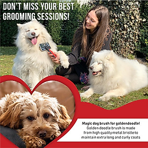 Bixy Pixy Slicker Brush for Dogs With Coated Tips - Extra Long Pins Removes Tangles - Doodle and Goldendoodle Brush Goes Deep Into Undercoat - Golden Retriever Brush for Shedding - Cepillo Para Perros