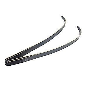 ZSHJGJR Archery Black Hunter Recurve Bow Limbs Replacement Bow Limbs 25-65lbs Right/Left Hand (30lbs, Right Hand)