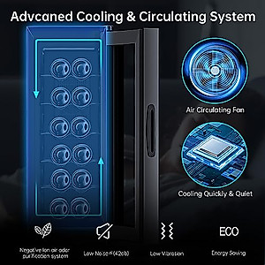 KingChii 12 Bottle Thermoelectric Wine Cooler Refrigerator Advanced Cooling Technology, Stainless Steel & Tempered Glass For Red Wine, Champagne for Home, Kitchen