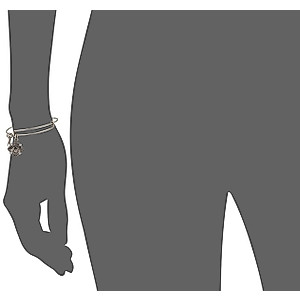 Alex and Ani Womens Because I Love You A18BILY08RS Goddaughter Charm Bangle Bracelet, Rafaelian Silver, Expandable