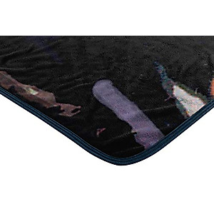 Northwest Harry Potter Micro Raschel, One Size, To Hogwarts