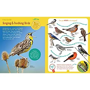 Backpack Explorer: Bird Watch: What Will You Find?