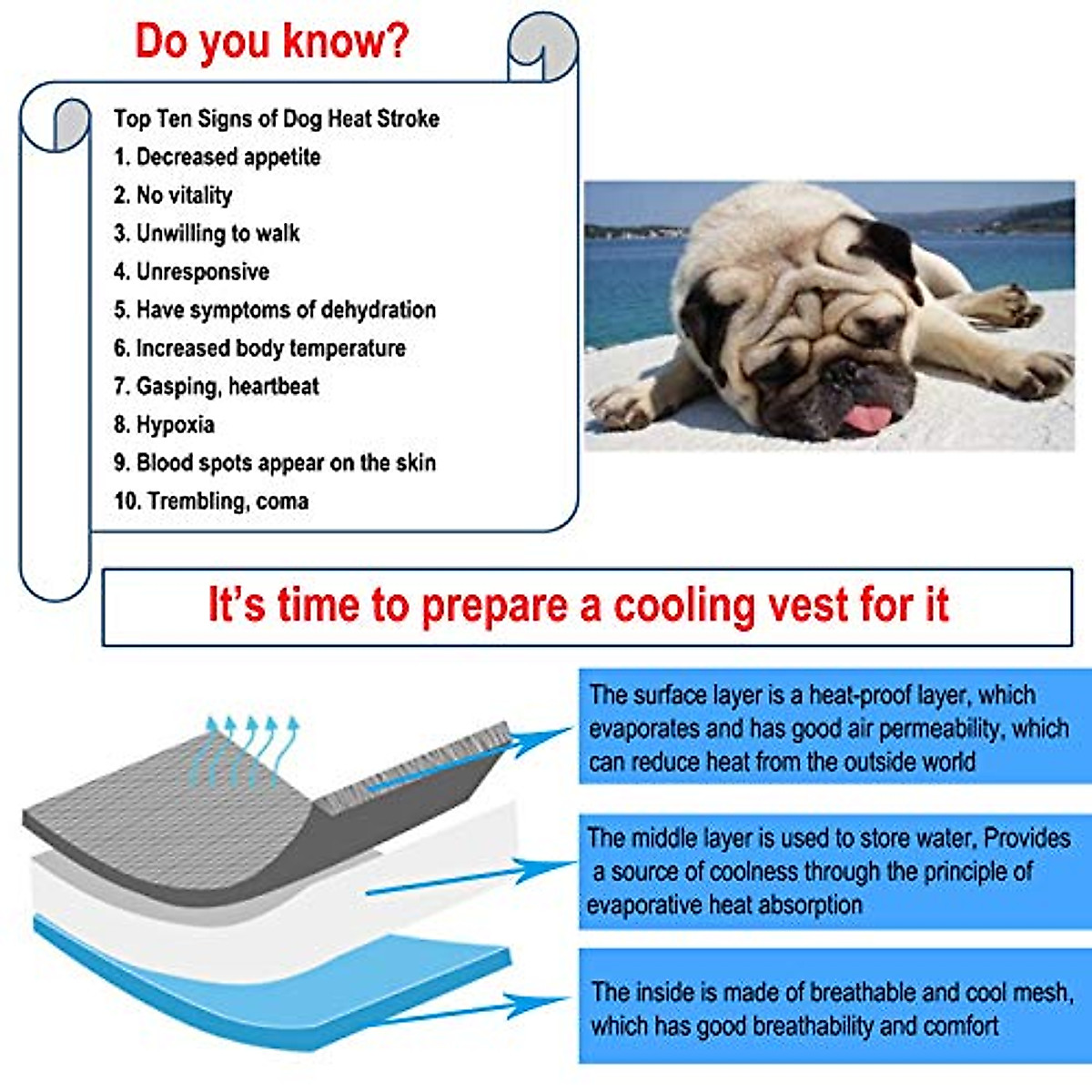 Dog Cool Vest Instant Cooling Clothes Summer Pet Breathable Mesh Instant Cooling Absorb Water and Evaporate Quickly Dogs Cool Jacket with Reflective Strip for Puppy Small Medium and Large Breed Dogs